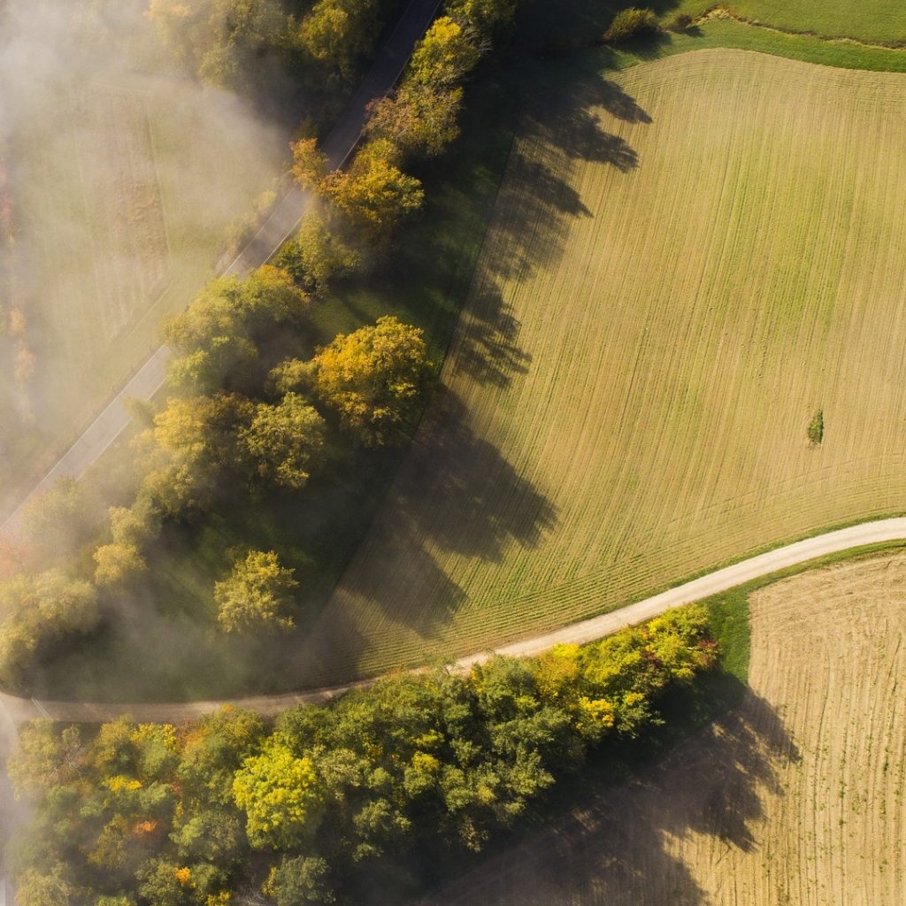 Heilverfahren | Praxis Thomas Bissinger